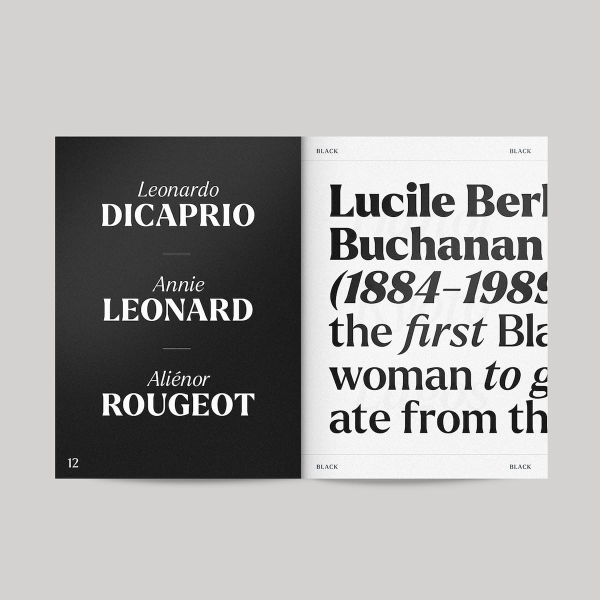 Top 10 New Fonts On Type Department TYPE01