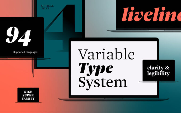 How to Make Type Systems With Lots of Different Faces - TYPE01