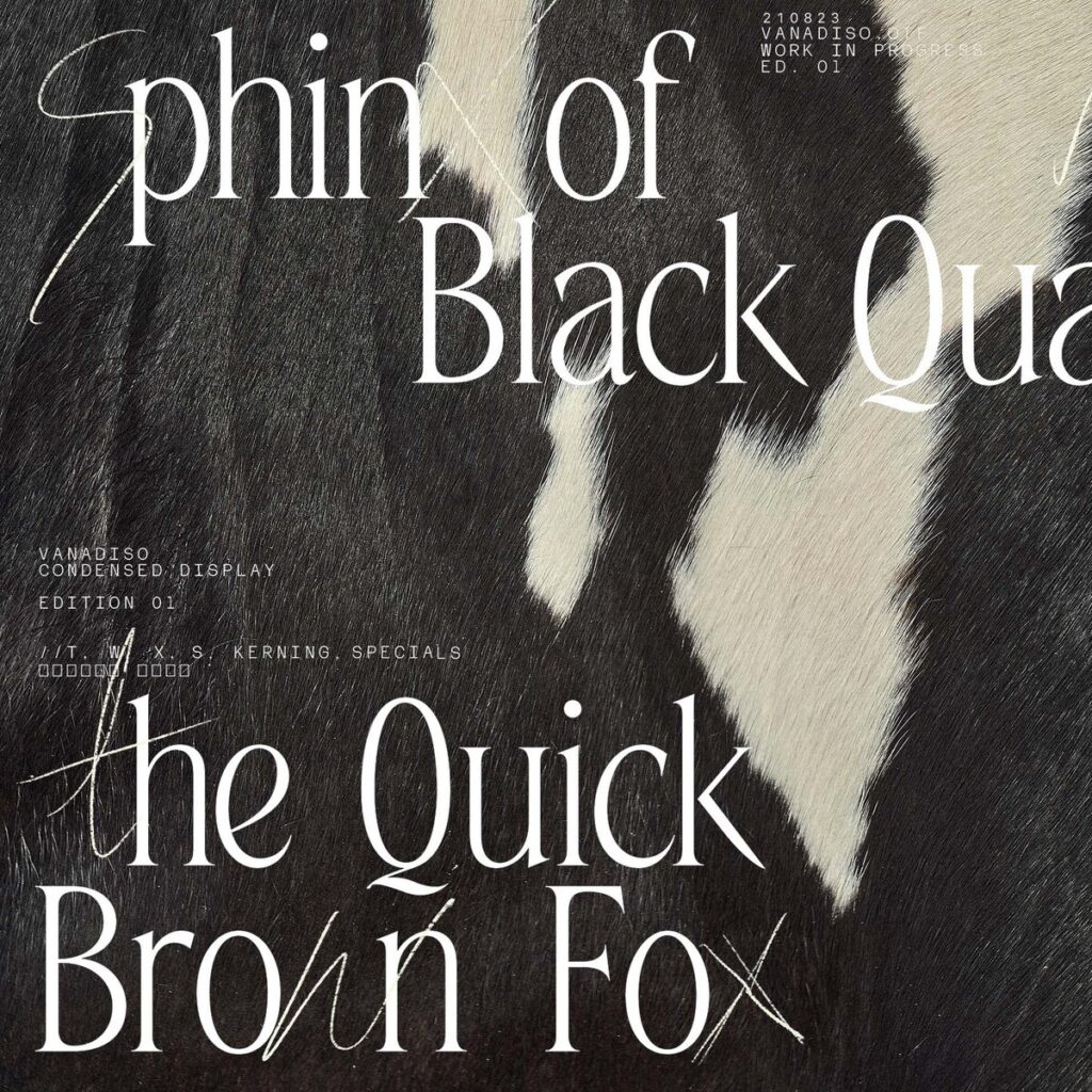 Vicodisco: get to know Victoria Englund, her creative mindset, and lots ...