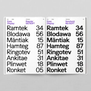 20 Type Designers & Type Foundries to Watch in 2024 - TYPE01
