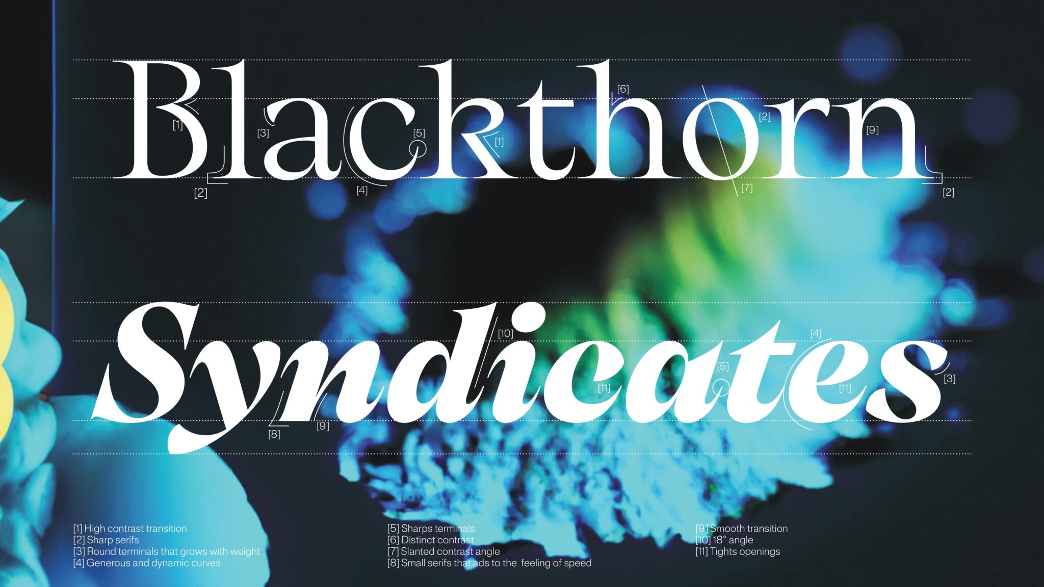 A Typographic Trio: We Dig into Three of Blaze Type’s Newest Typefaces ...