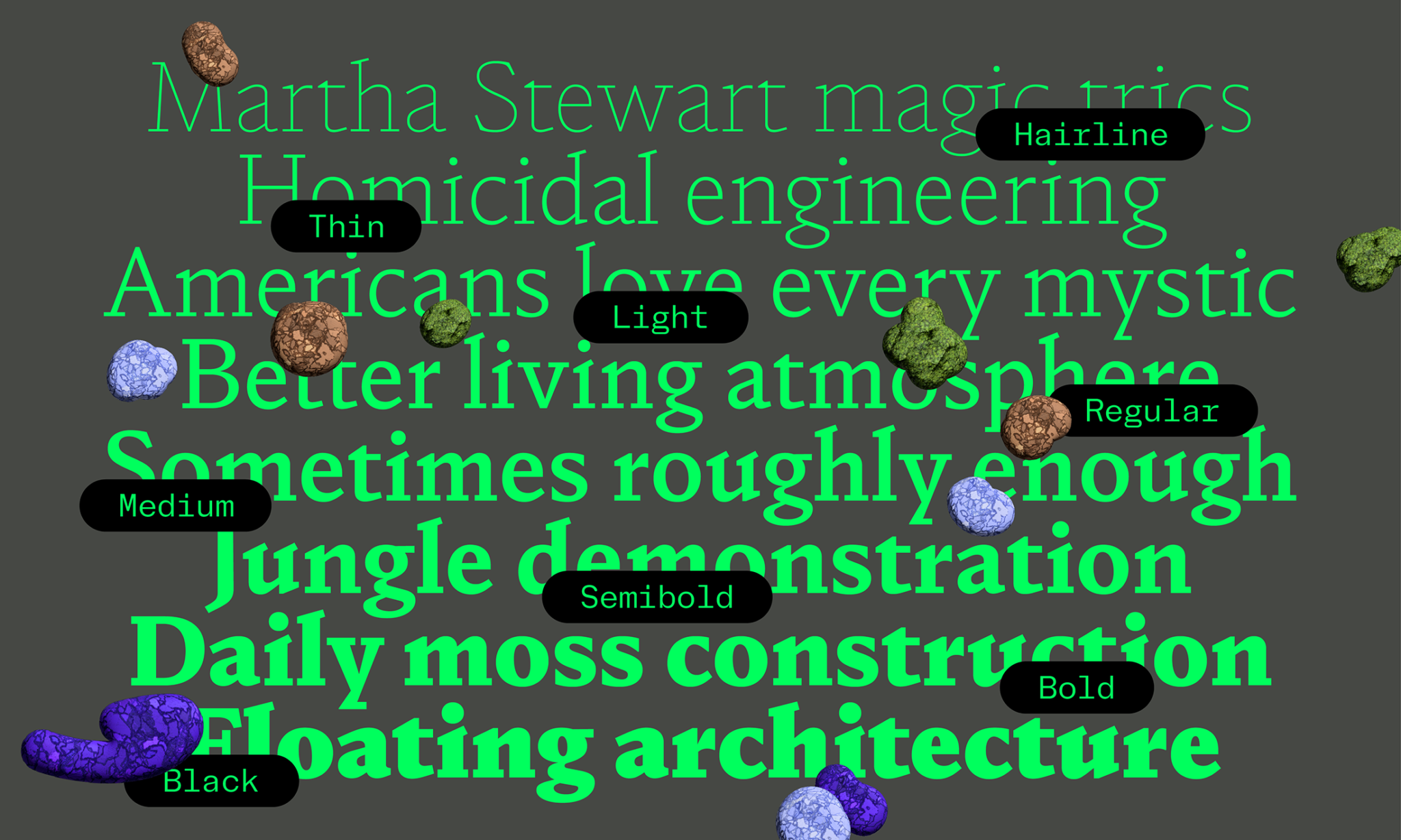 NaN Druid: A Mystical Dance Between Serif and Sans-Serif - TYPE01