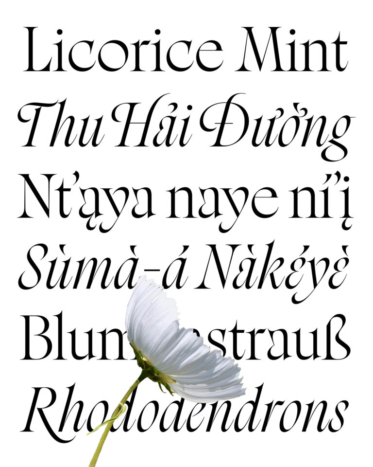 Calligraphy, Curiosity, and Craftsmanship: An Interview Examining ...