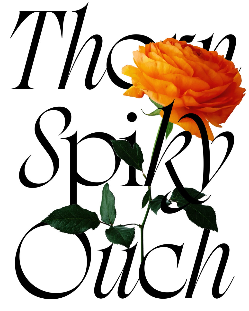 Calligraphy, Curiosity, and Craftsmanship: An Interview Examining ...